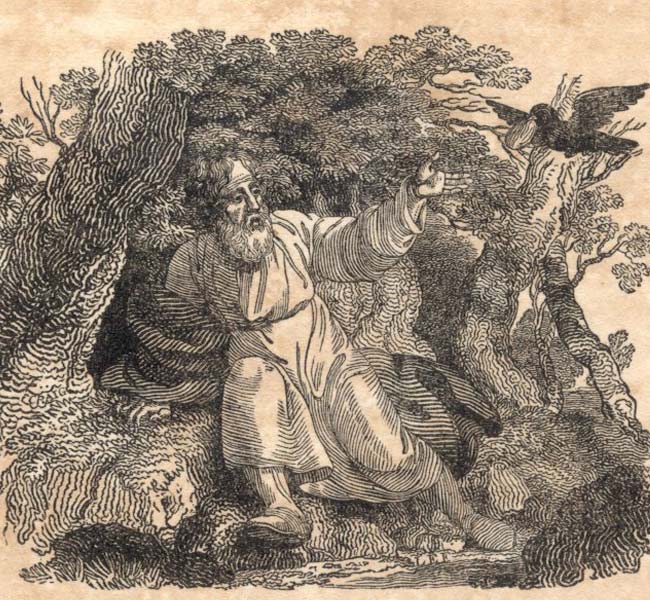 Elijah Fed by the Ravens - 1 Kings Image