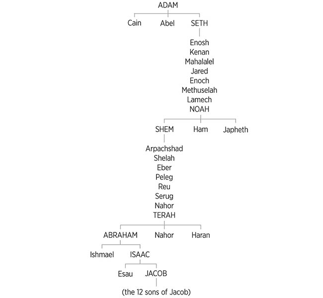 The Genealogies of Genesis - ESV Global Study Bible Image