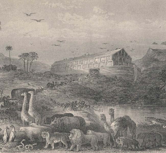 The Entry into the Ark - Genesis Image