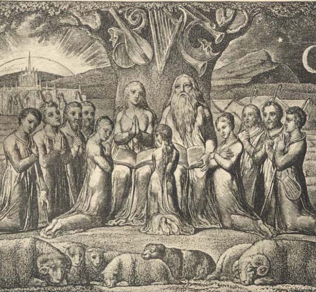 Job's Family - Job Image