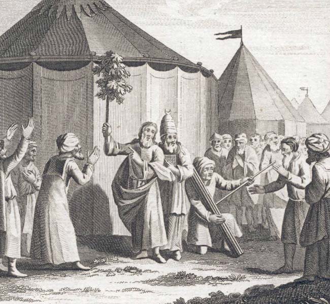 The Miracle of Aaron's Rod - Numbers Image