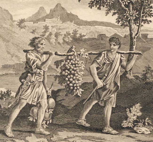 Acts of the Spies - Numbers Image