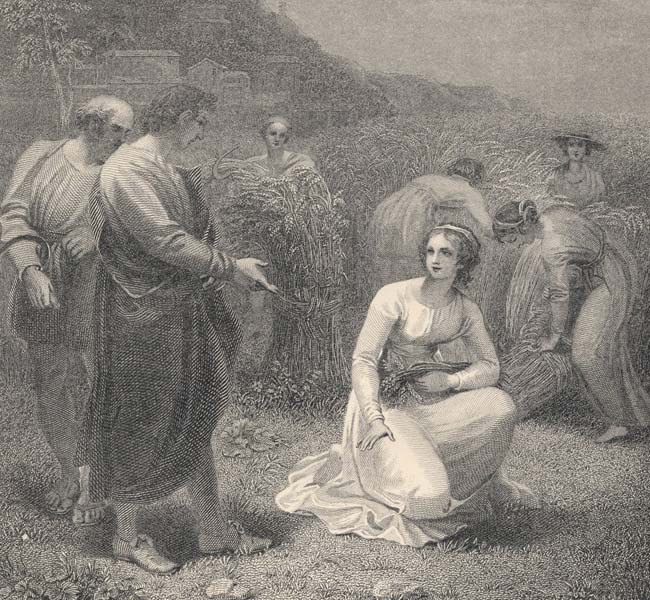 Ruth and Boaz - Ruth Image