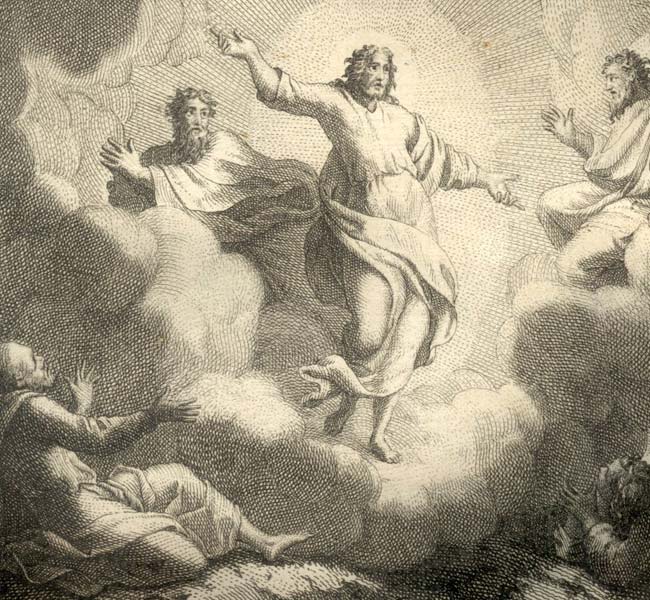 The Transfiguration - The Gospels Image