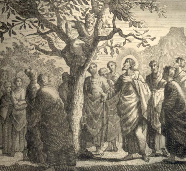 Zacchaeus in the Tree - The Gospels Image