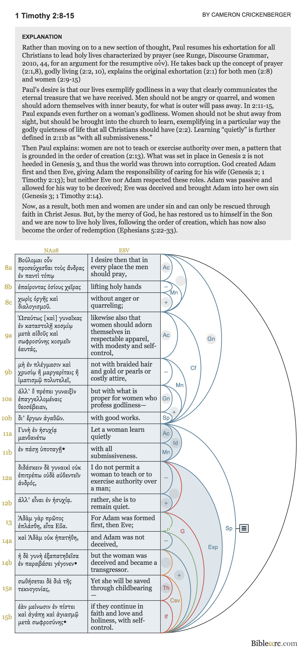 1 Timothy 2:8-15 - Biblearc Image
