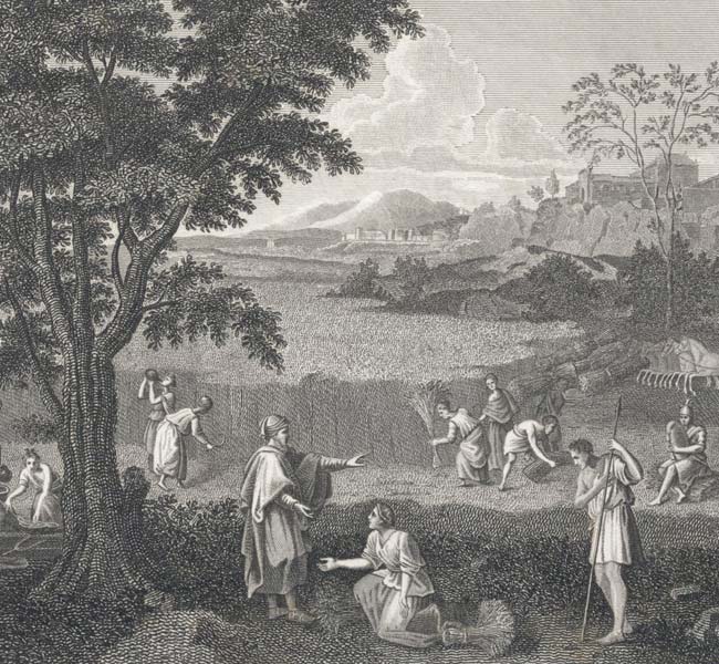 The First Interview of Boaz and Ruth - John Hewlett's Image