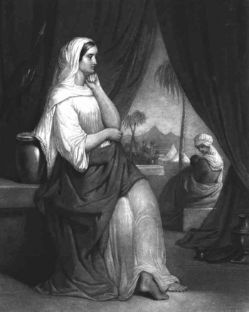 The Life, Character, and Death of Sarah by H. Hastings Weld