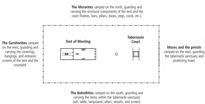 Positions and Duties of the Levites