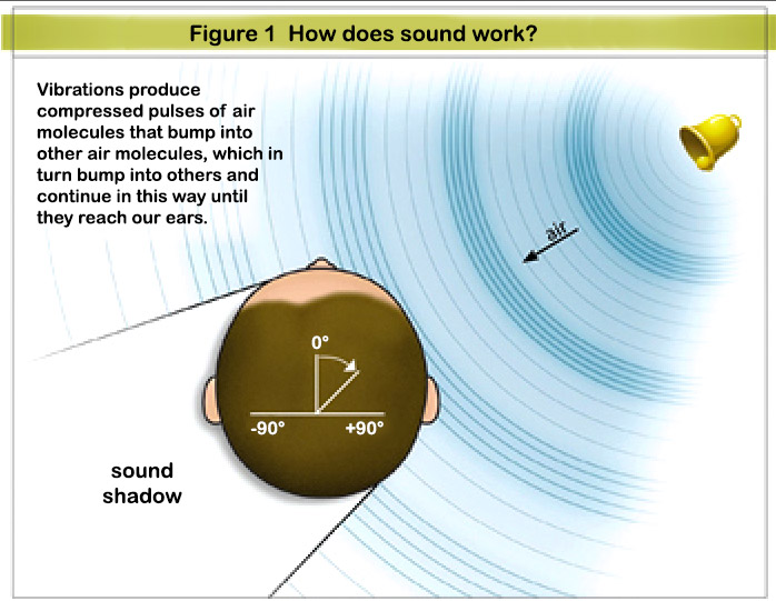 Hearing Ear - Study Resources