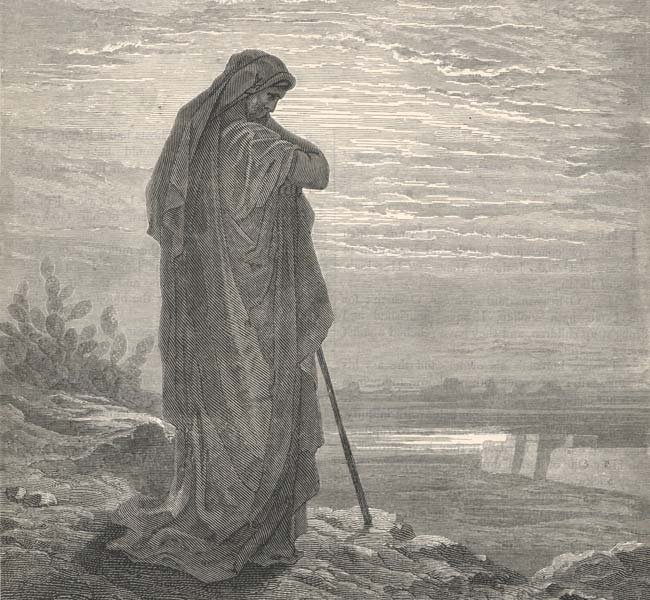 Amos - Amos Image