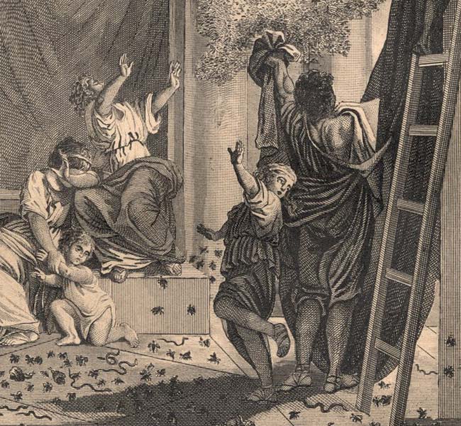 Flies - Exodus Image