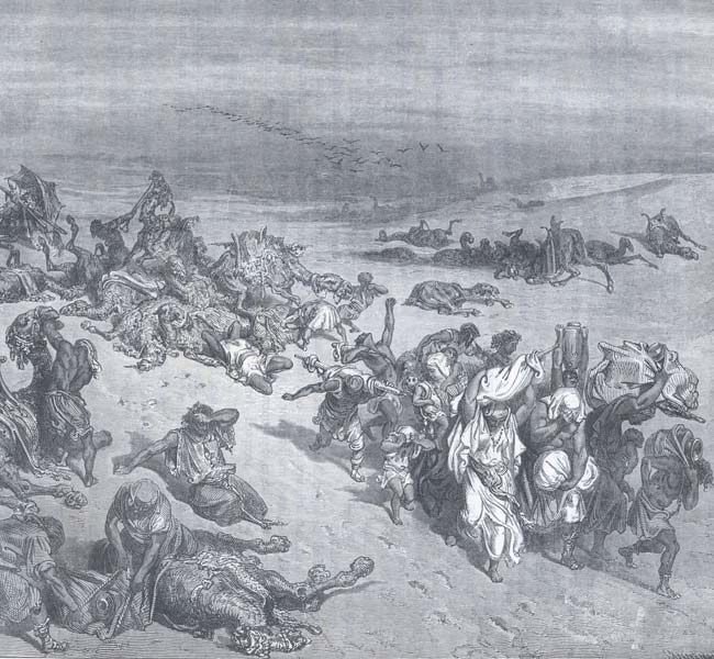 The Murrain of Beasts - Exodus Image