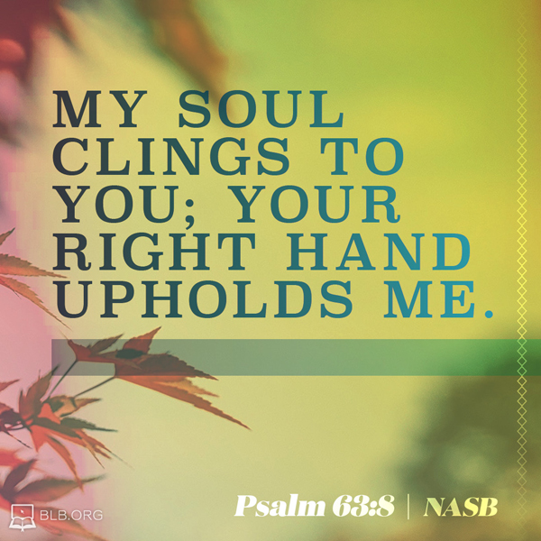 Psalm 63:8 (NASB95) - Scripture Image