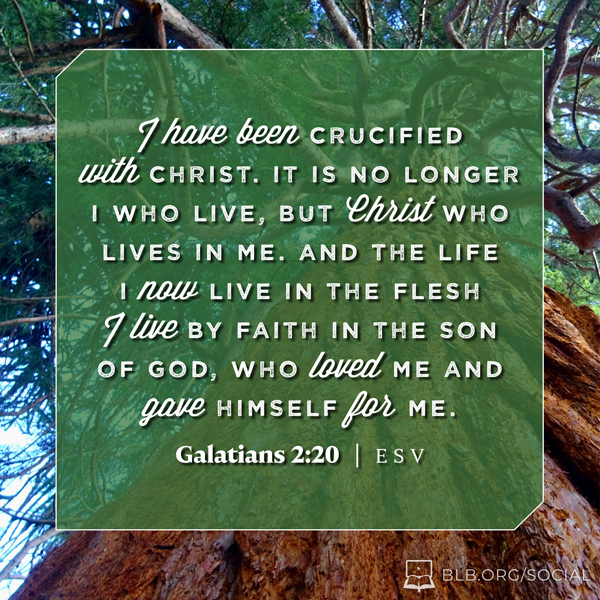 Galatians 2:20 (ESV) - Scripture Image
