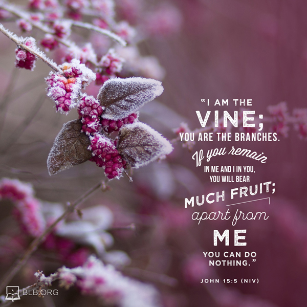 John 15:5 (NIV) - Calendar Images Image