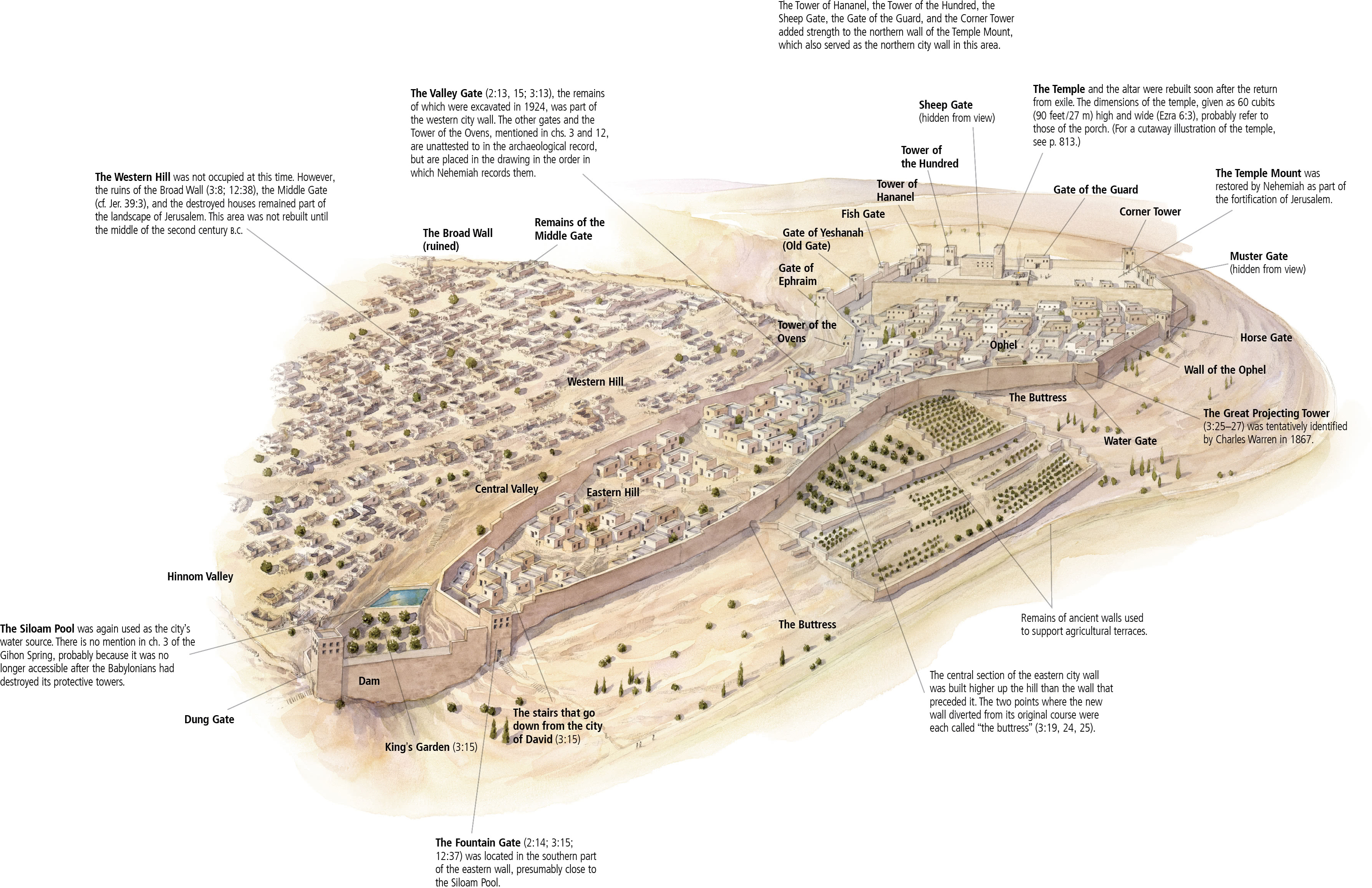 Jerusalem in the Time of Nehemiah (Nehemiah 3)