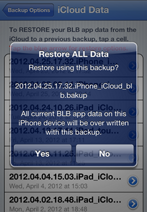The BLB for iPhone || User Manual || Preferences