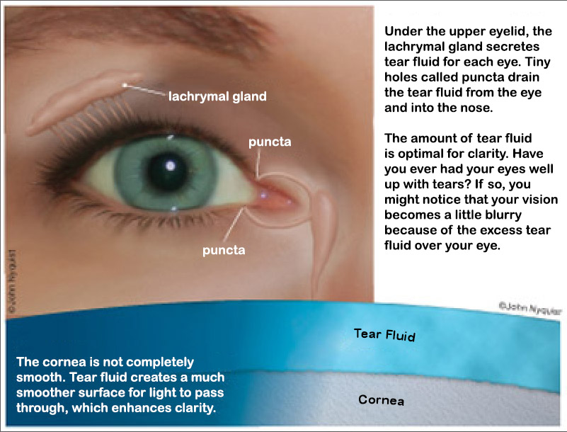 Seeing Eye - Study Resources
